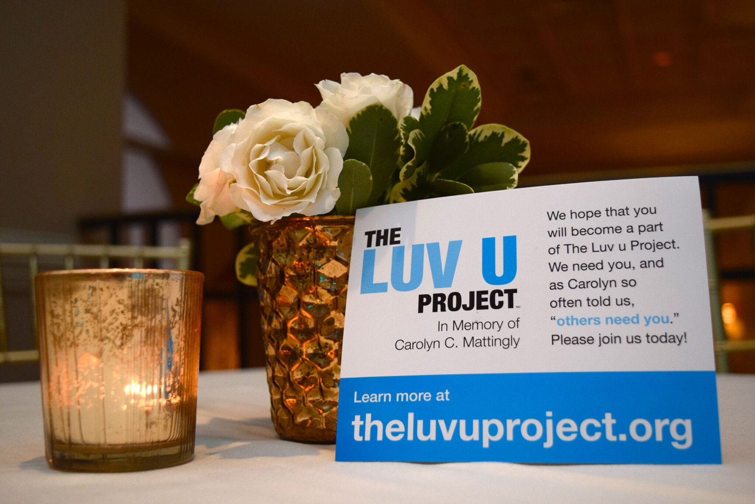 News - The Luv u Project